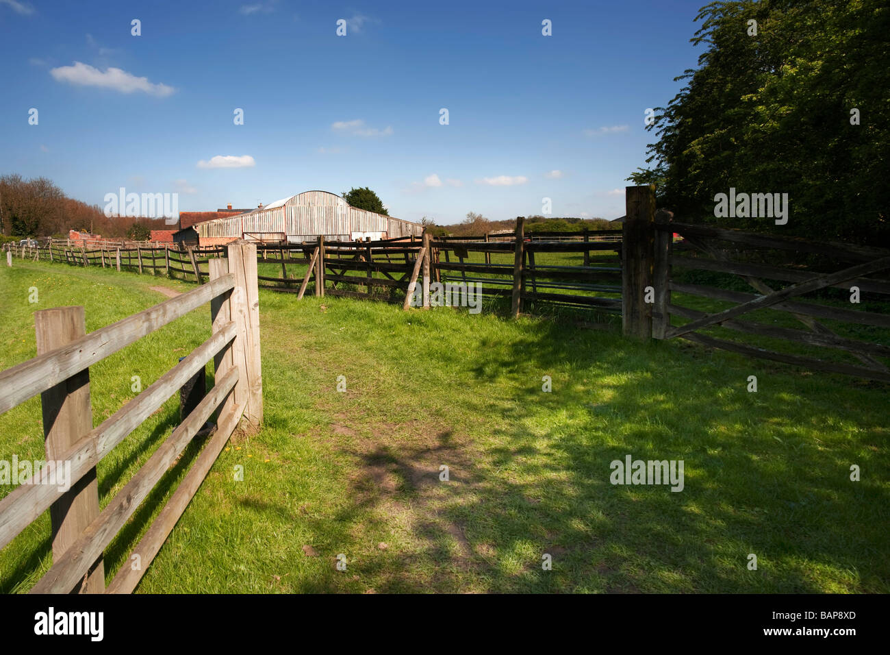 farm in the middle of farmland and fields Stock Photo - Alamy