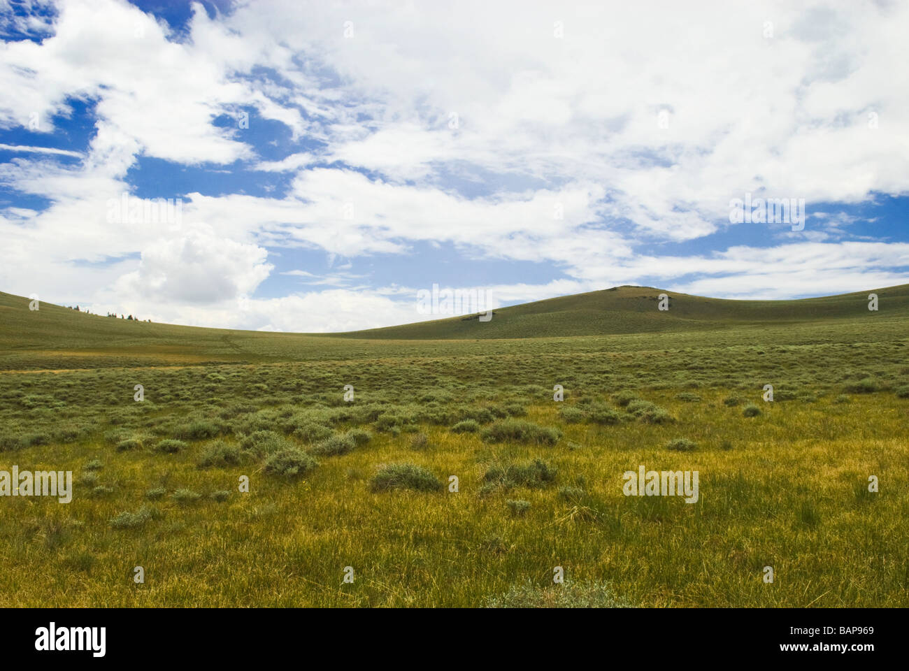 Open grassy meadow hi-res stock photography and images - Alamy