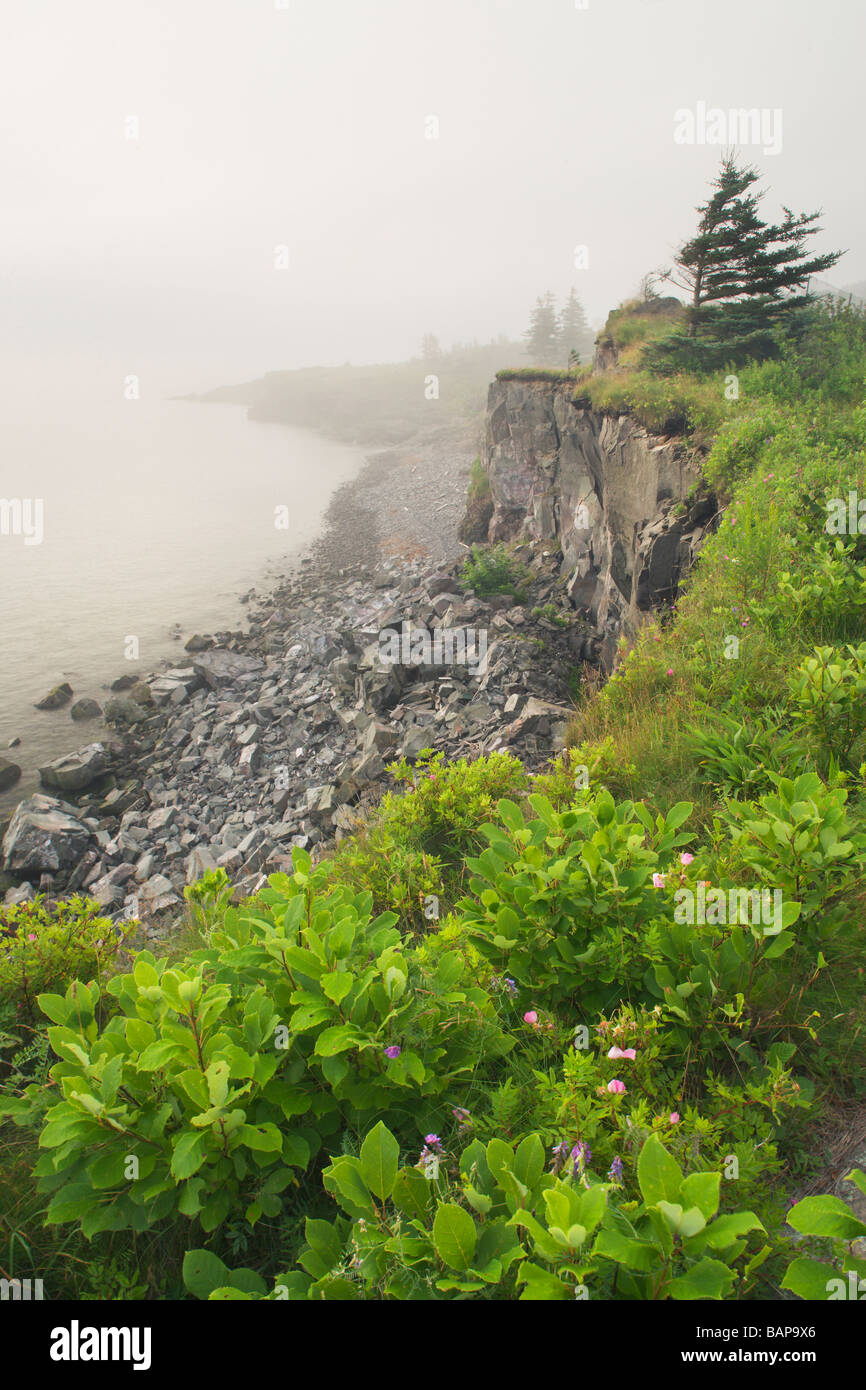 Prim point hi-res stock photography and images - Alamy