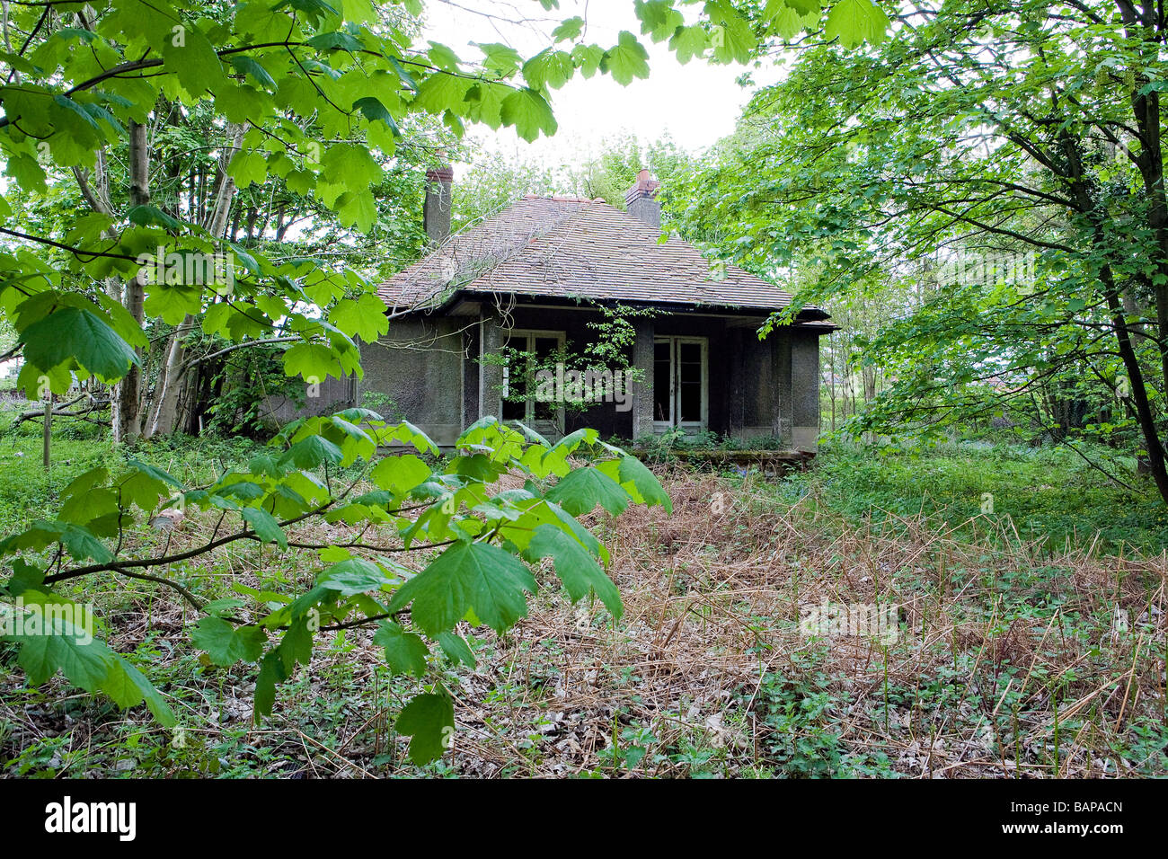 View through leaves of an abandoned cottage that lies in disrepair in ...
