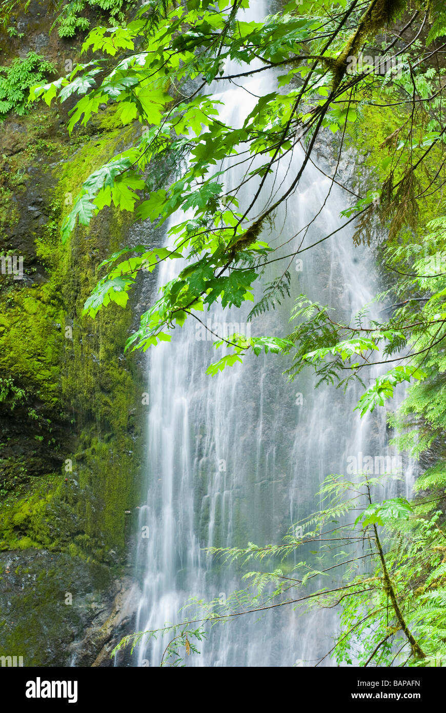 Marymere fall hi-res stock photography and images - Alamy