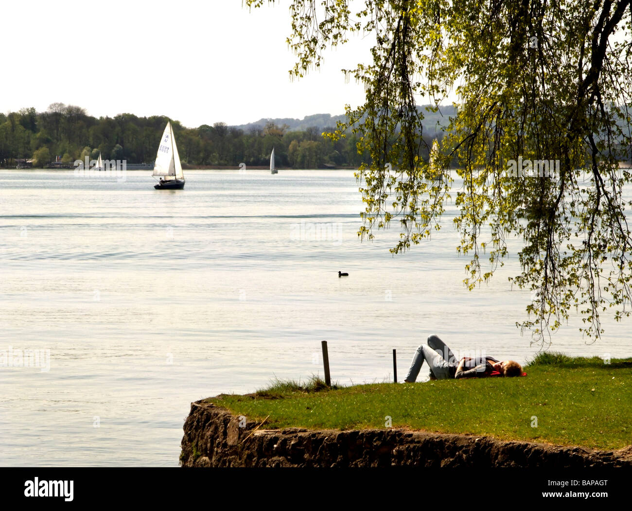 Laying under a tree hi-res stock photography and images - Alamy