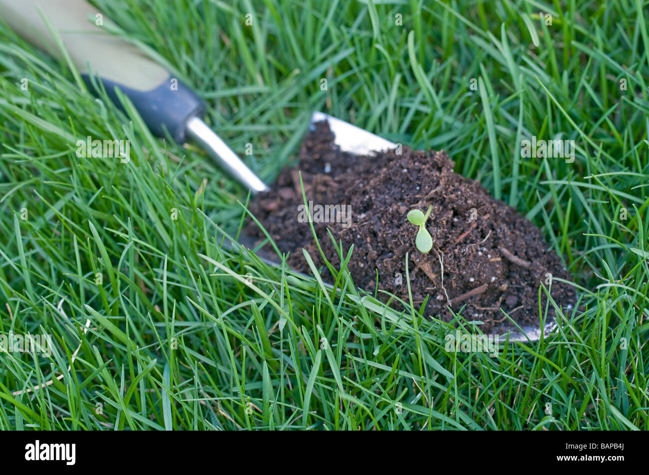 Sprout ecology hi-res stock photography and images - Alamy