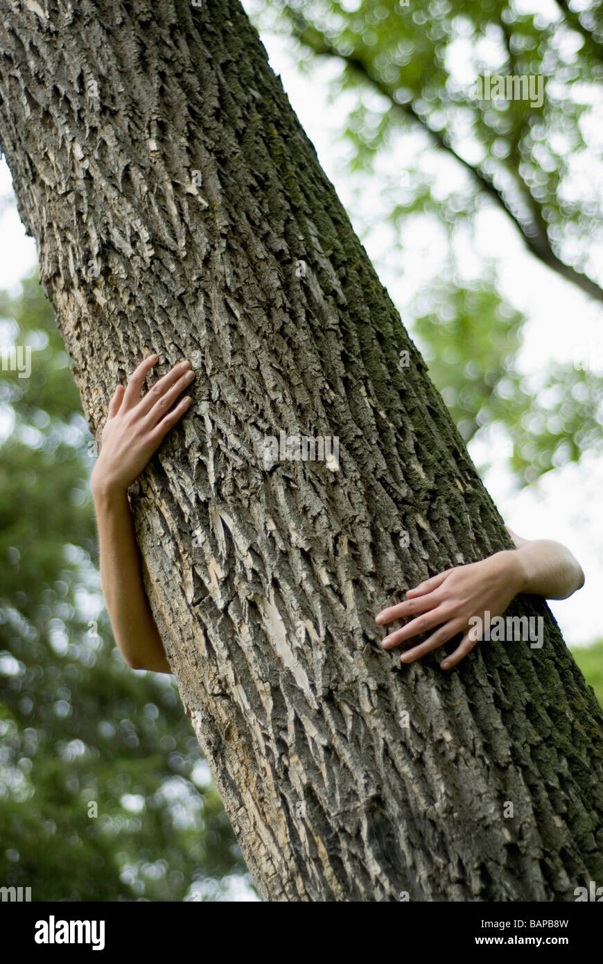 People protecting trees from hi-res stock photography and images - Alamy