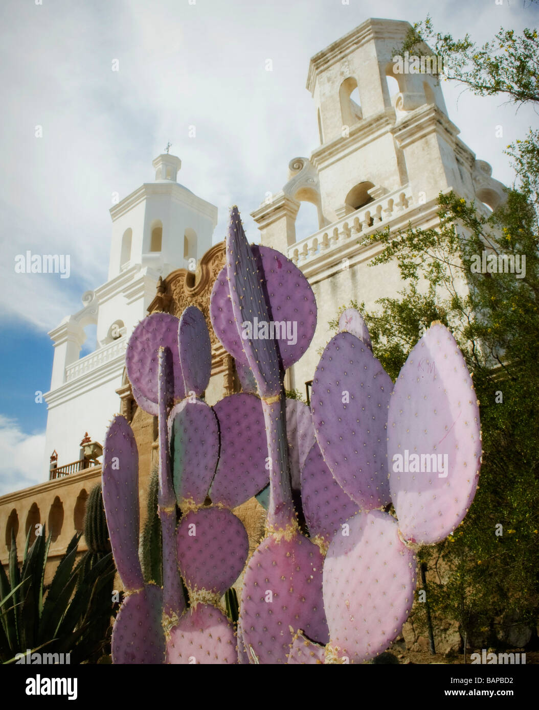 San Xavier del Bac Mission Tucson Arizona Church Renovations Great for ...