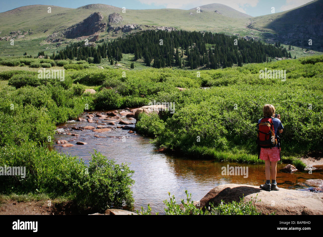 Colorado Summer Scenery