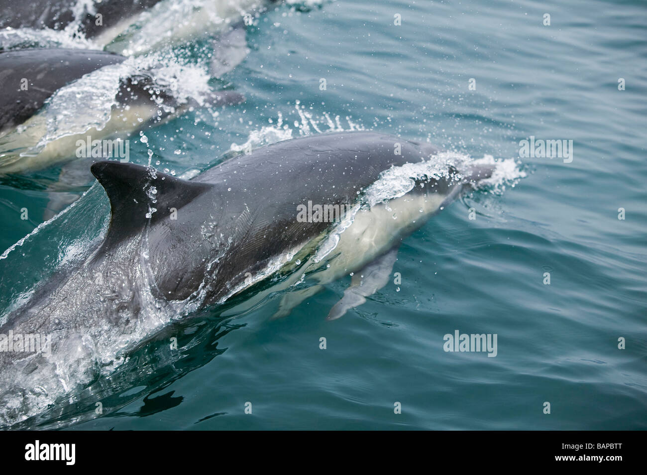 Point conception hi-res stock photography and images - Alamy