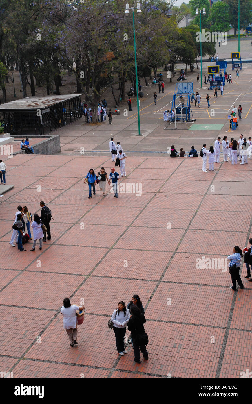 (Universidad Nacional Autonoma de Mexico), (UNAM), or (National ...