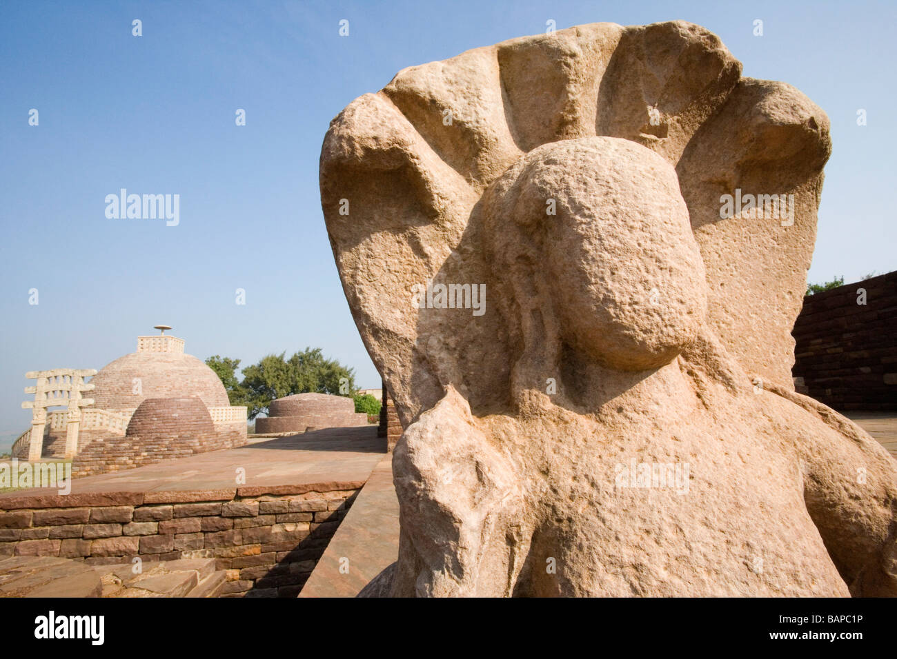 Close-up of a statue with a stupa in the background, Great Stupa ...