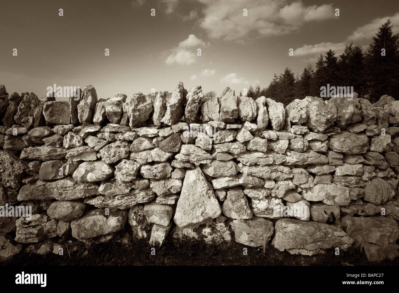 Sepia, close up of dry stone wall made from limestone pavement, Cumbria ...