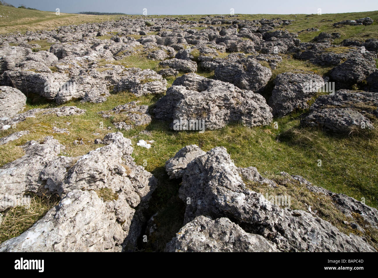 Limestone pavement on top of Knipe Scar, Cumbria, England Stock Photo ...