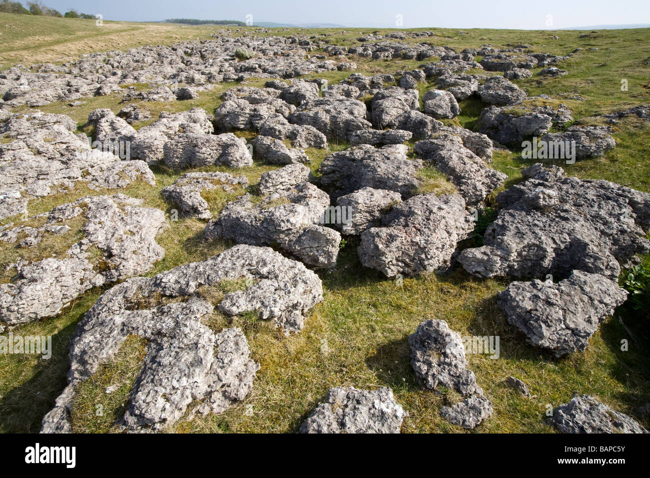 Limestone pavement on top of Knipe Scar, Cumbria, England Stock Photo ...