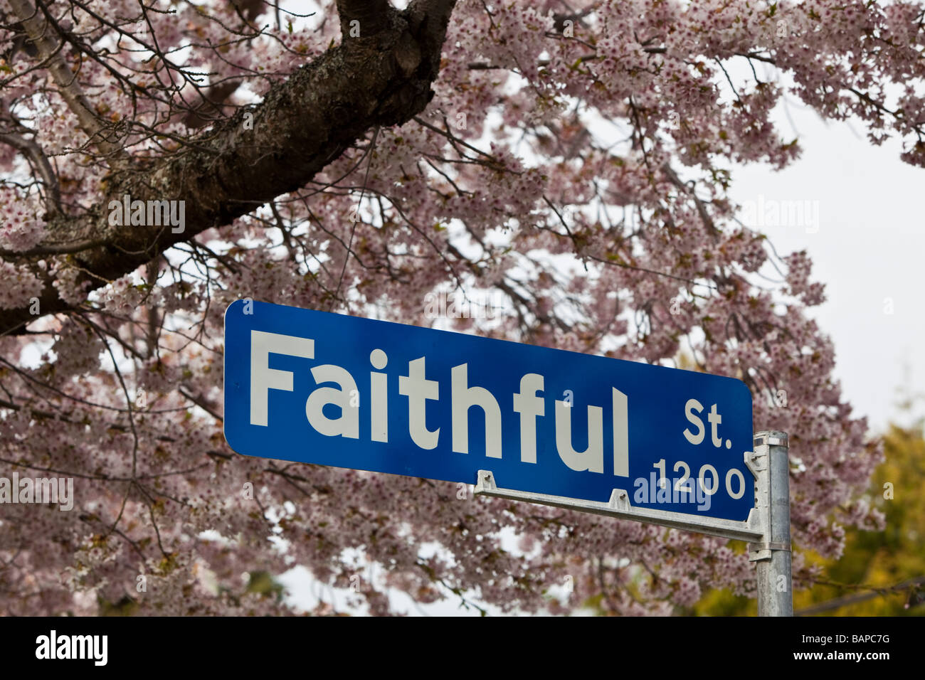 Street sign on Faithful Street in Victoria BC Canada Stock Photo - Alamy