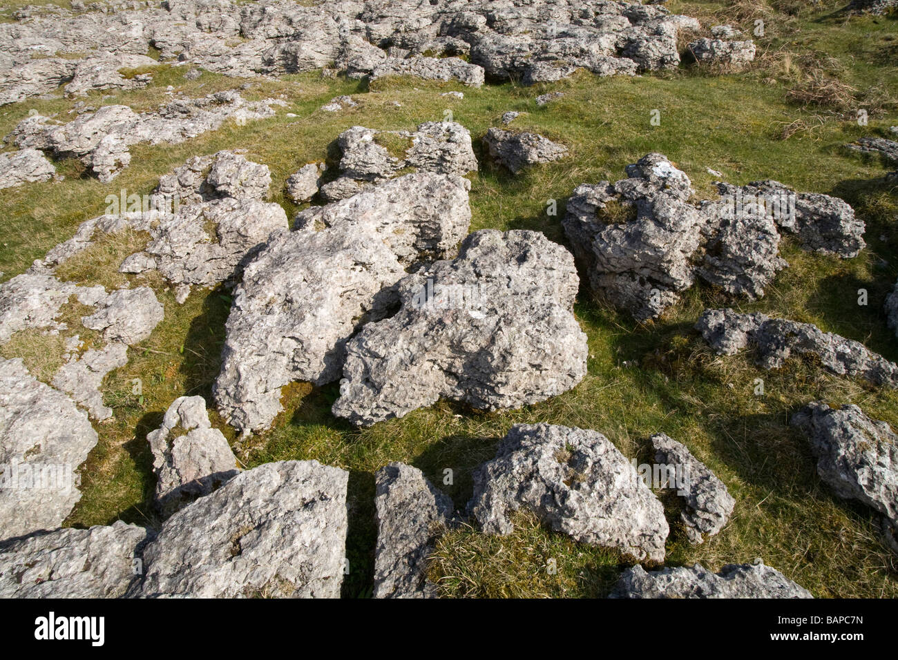 Pavement retreat hi-res stock photography and images - Alamy