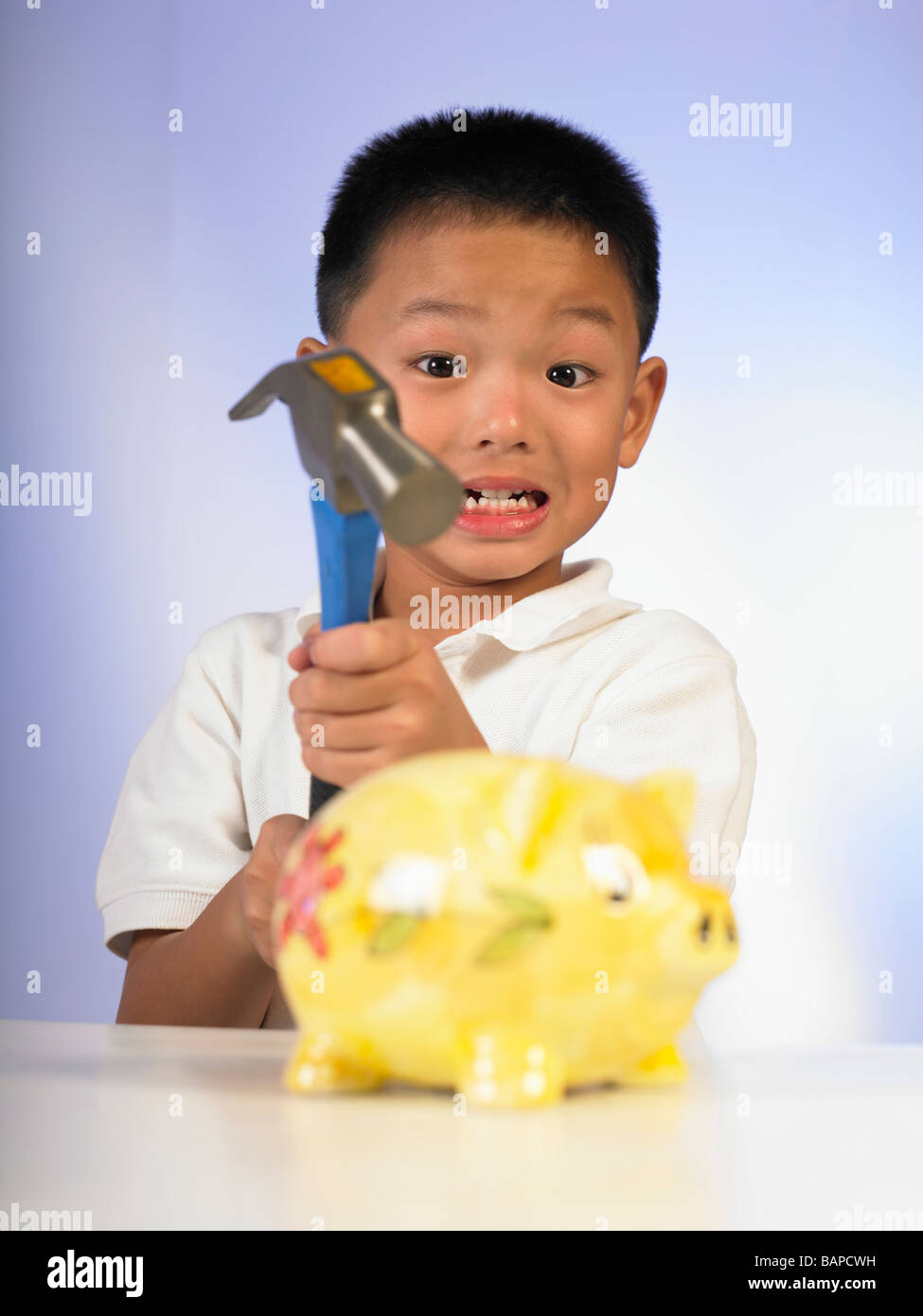 boy is breaking the the piggy bank Stock Photo - Alamy