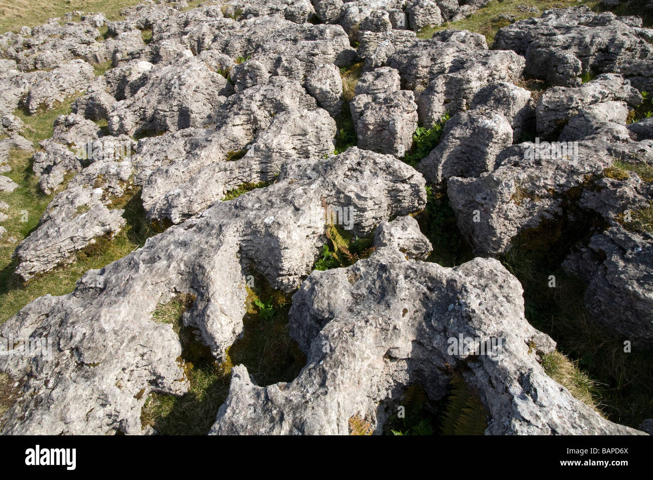 Scar formation hi-res stock photography and images - Alamy