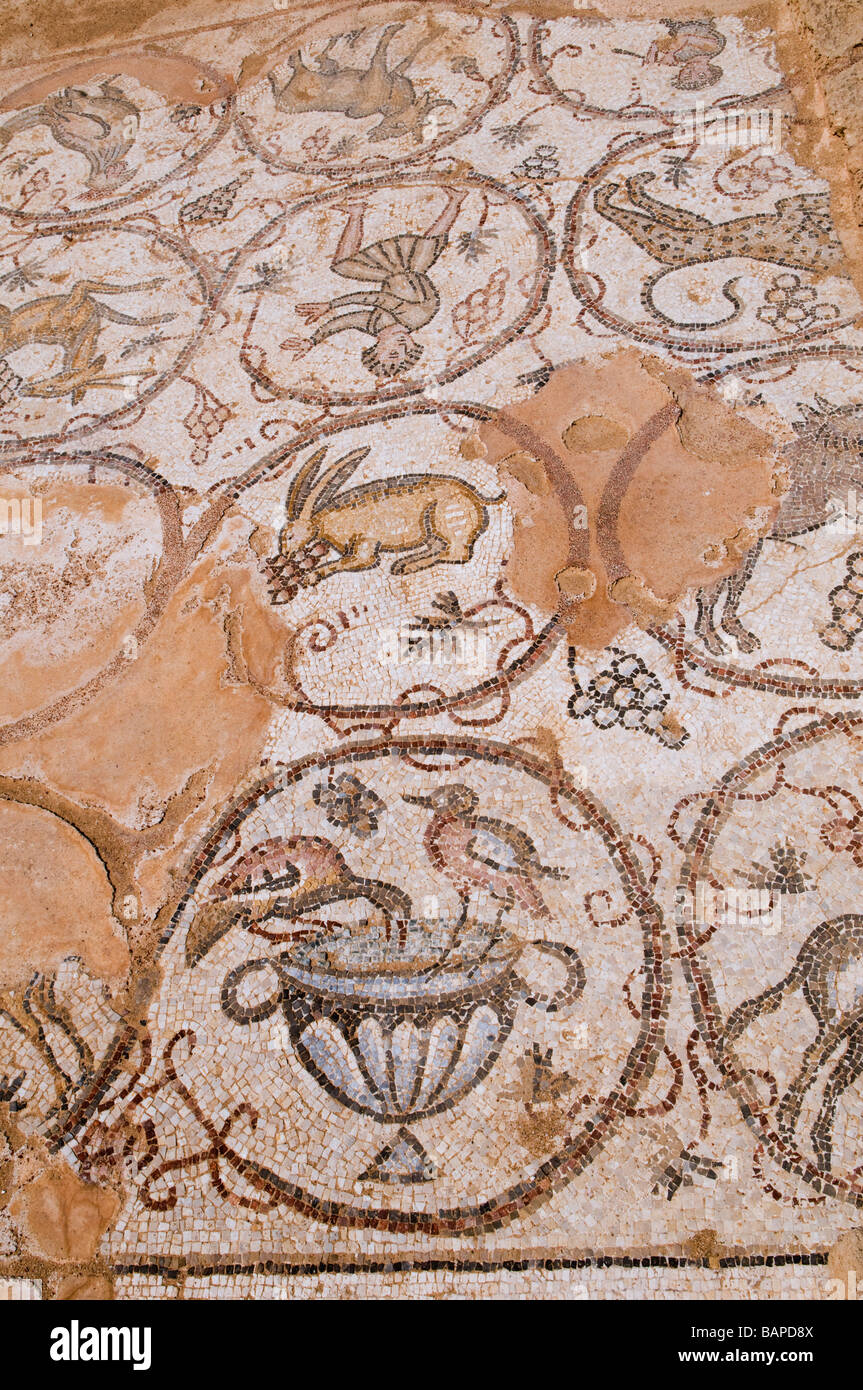 A Roman floor mosaic depicting birds in Caesarea national park Israel ...