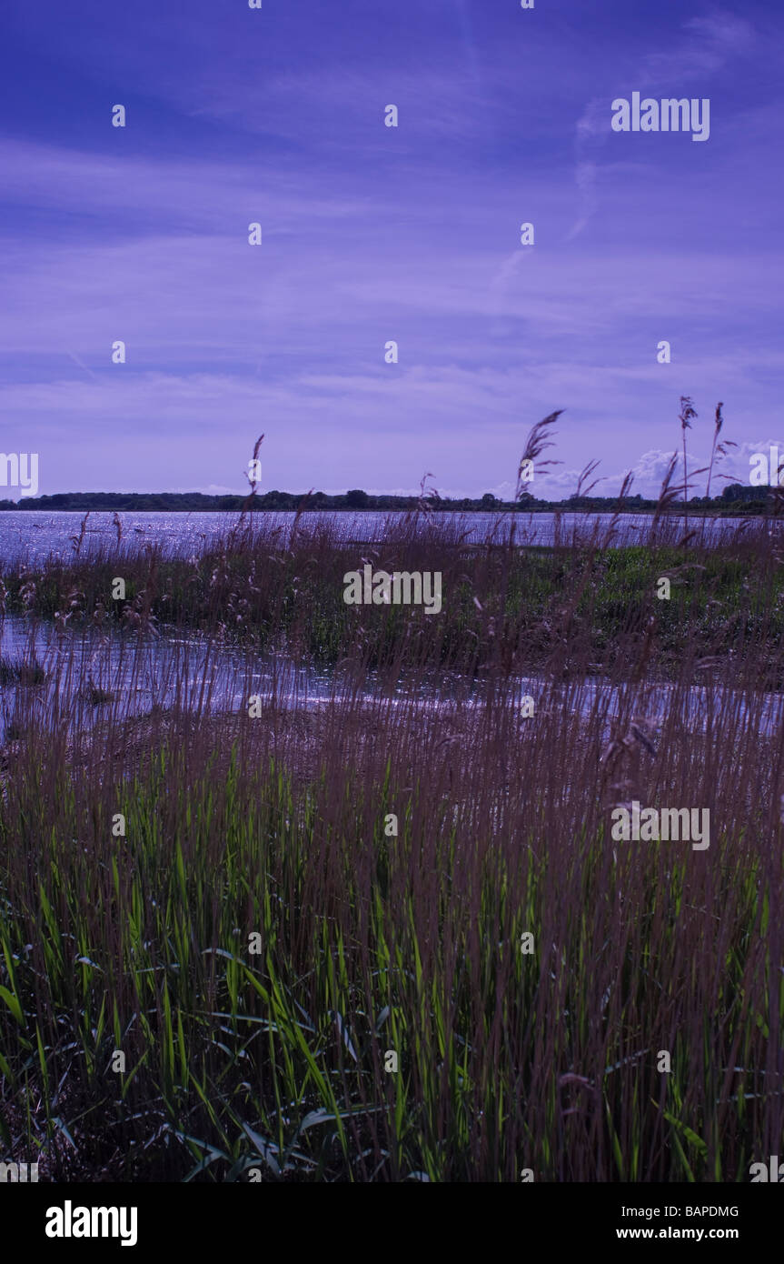 Fishbourne harbour hi-res stock photography and images - Alamy