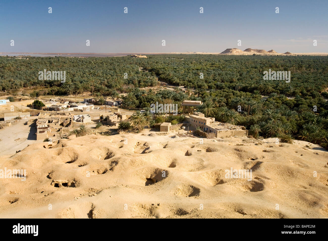 Siwa Oasis, Egypt; View of palms and olive groves Stock Photo - Alamy