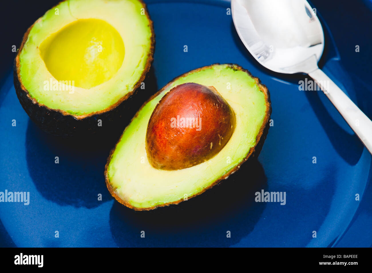 Avocado Kernel High Resolution Stock Photography and Images - Alamy