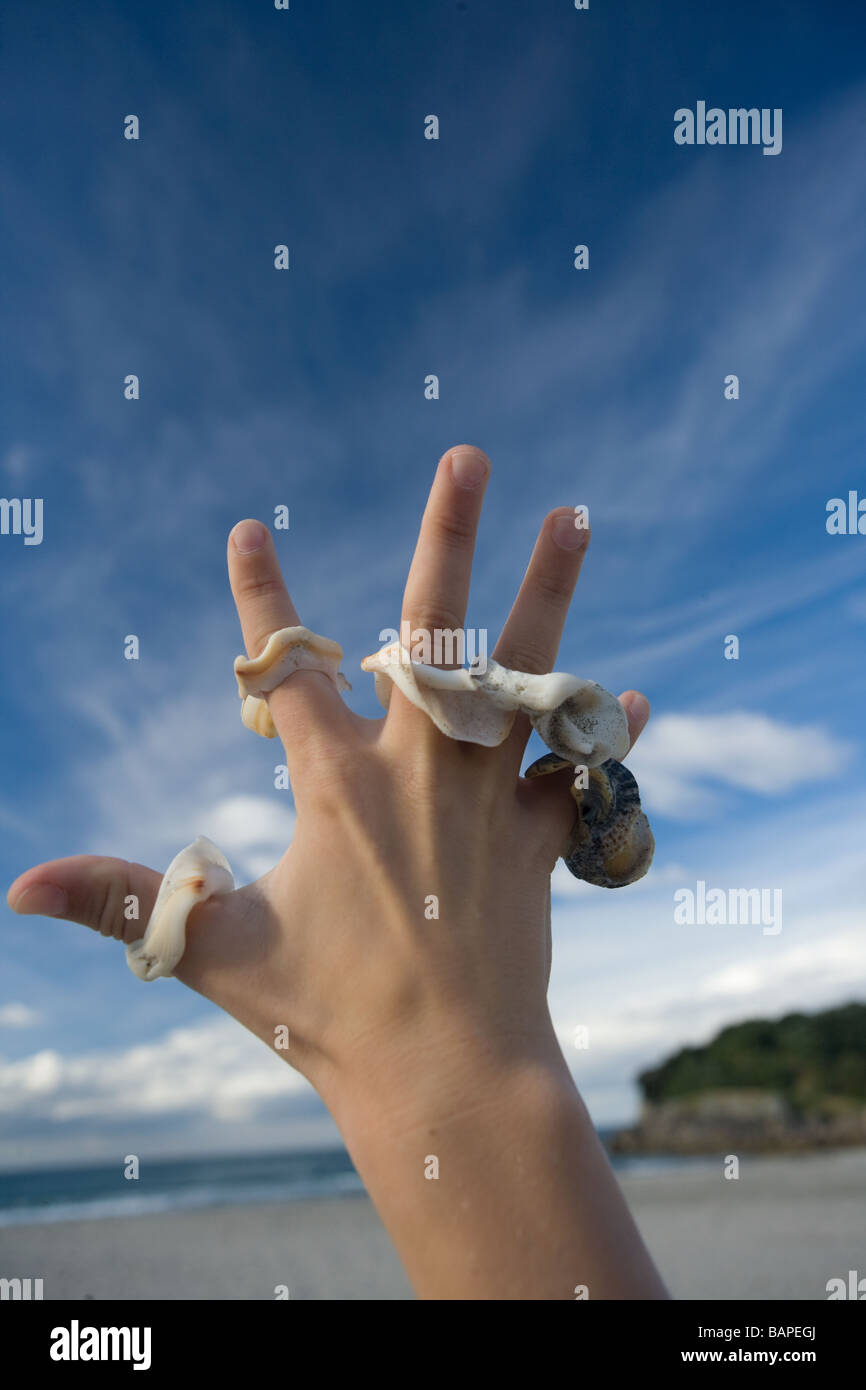 Hands holding sea shells in New Zealand Stock Photo - Alamy