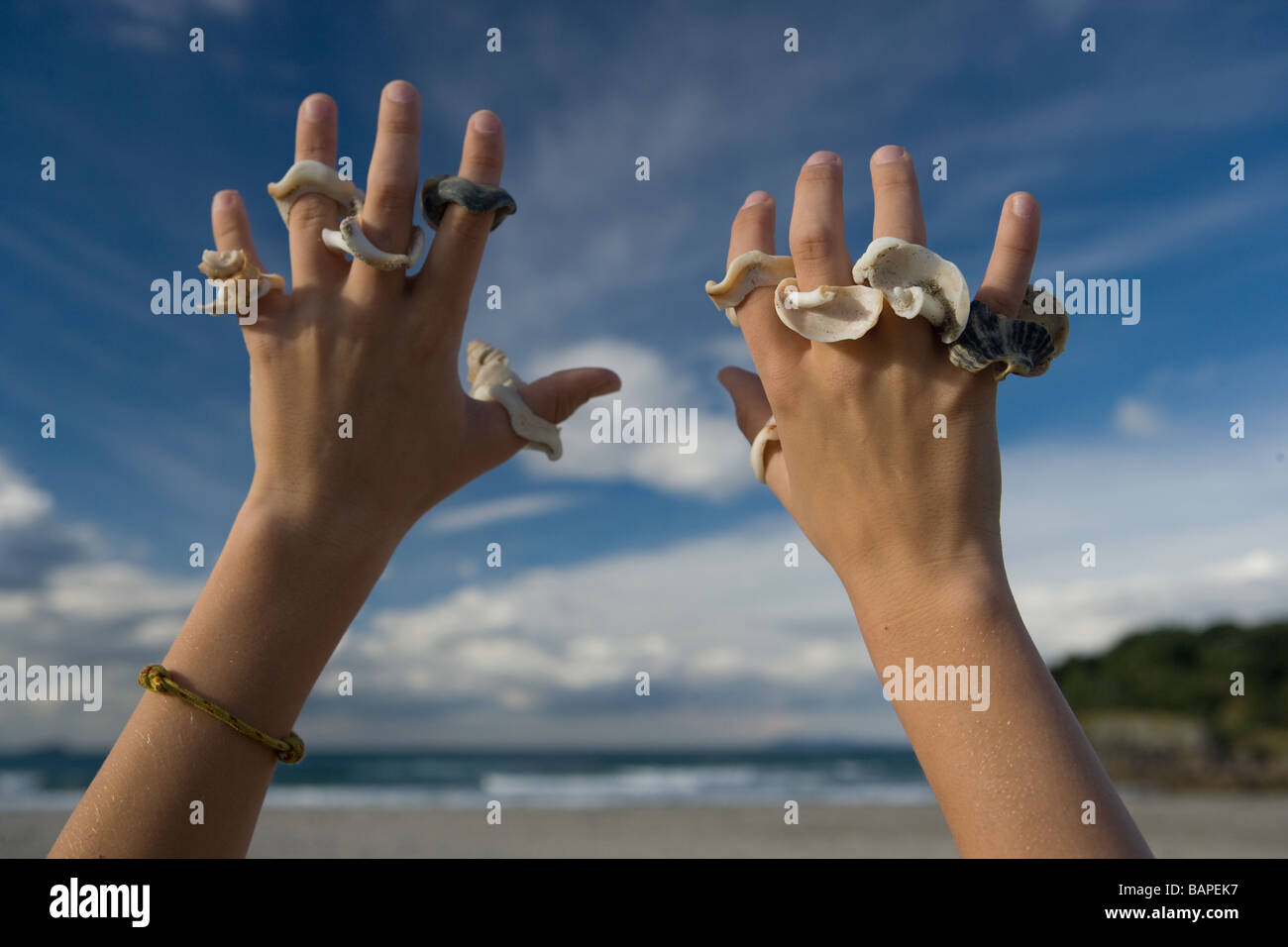 Hands holding shells hi-res stock photography and images - Alamy