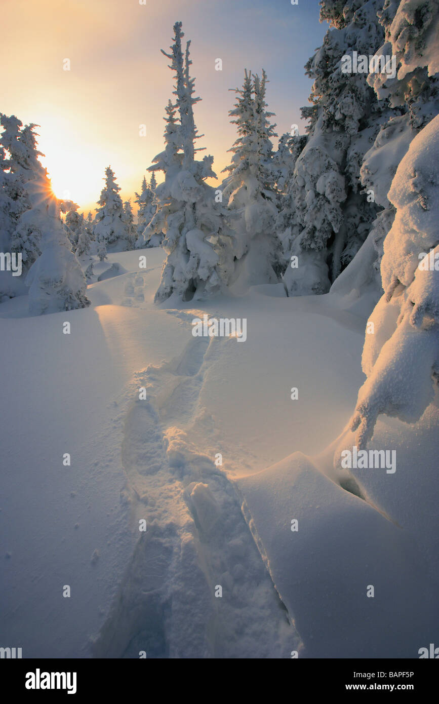 Parc de la gaspésie canada hi-res stock photography and images - Alamy