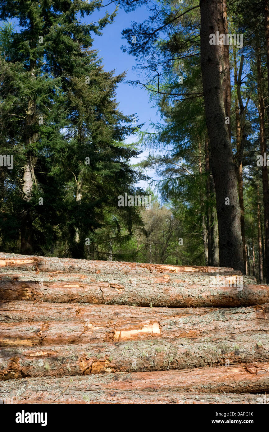 Scolty Hill High Resolution Stock Photography and Images - Alamy