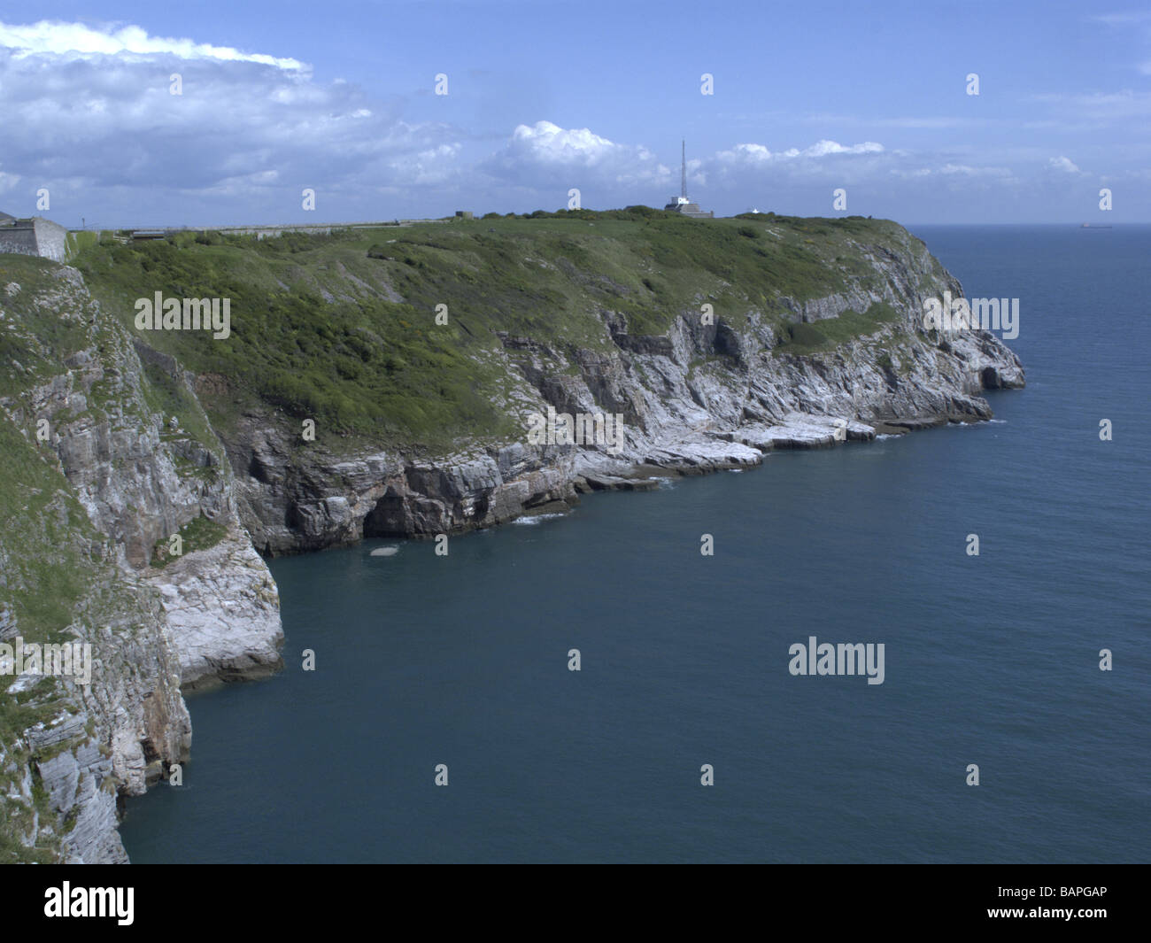 Berry head hi-res stock photography and images - Alamy