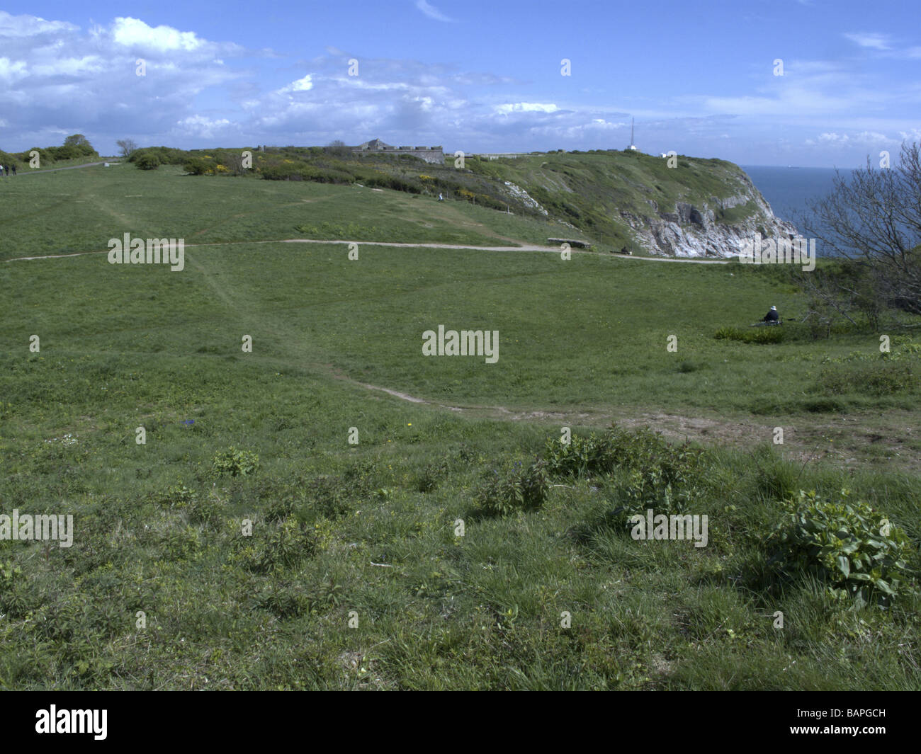 Berry head hi-res stock photography and images - Alamy