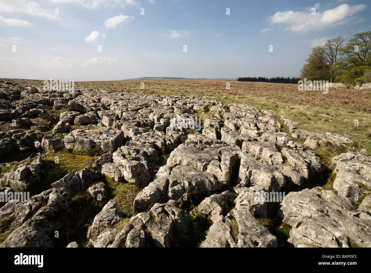 Limestone pavement on top of Knipe Scar, Cumbria, England Stock Photo ...