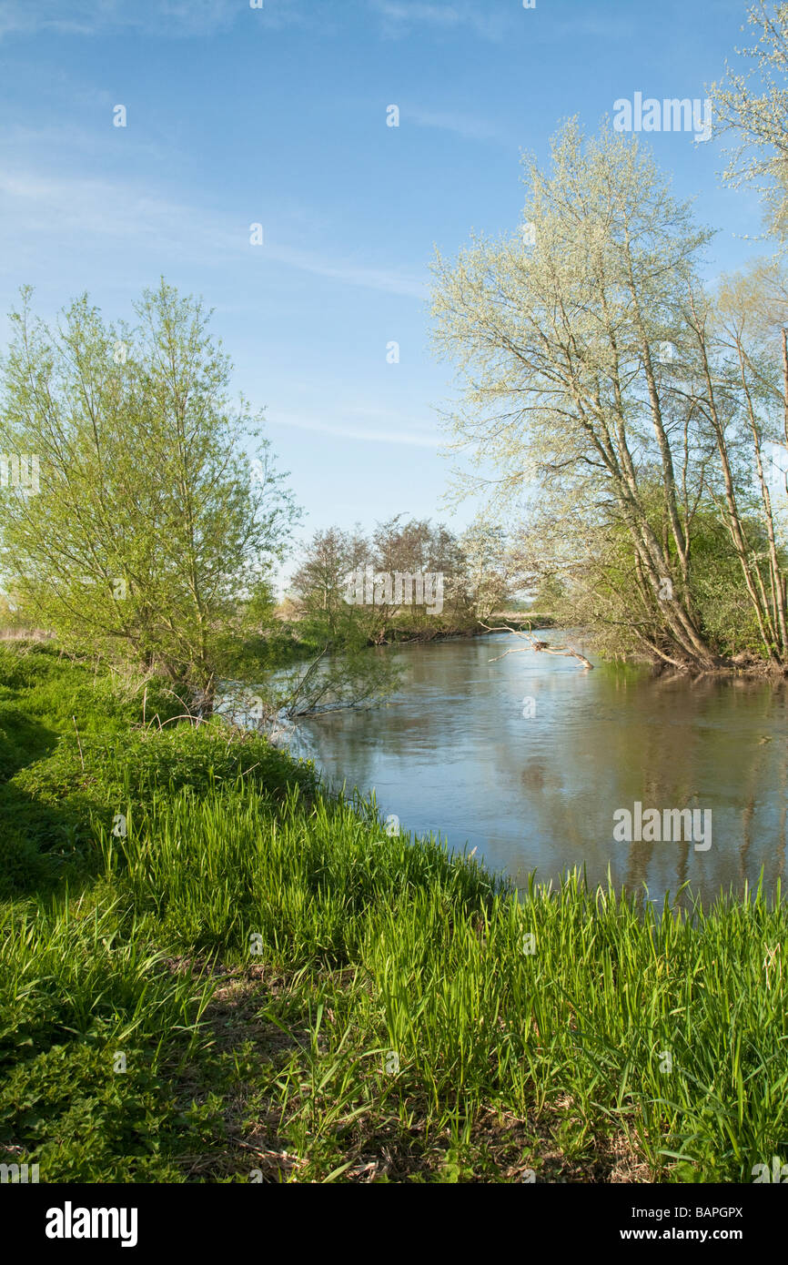 Uk in the river kennet valley hi-res stock photography and images - Alamy