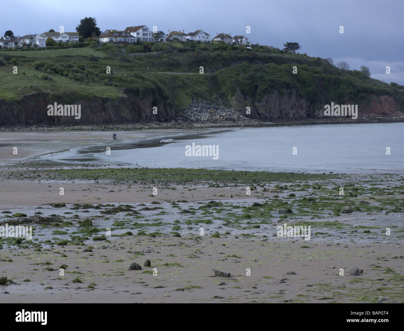 Devon mud hi-res stock photography and images - Alamy