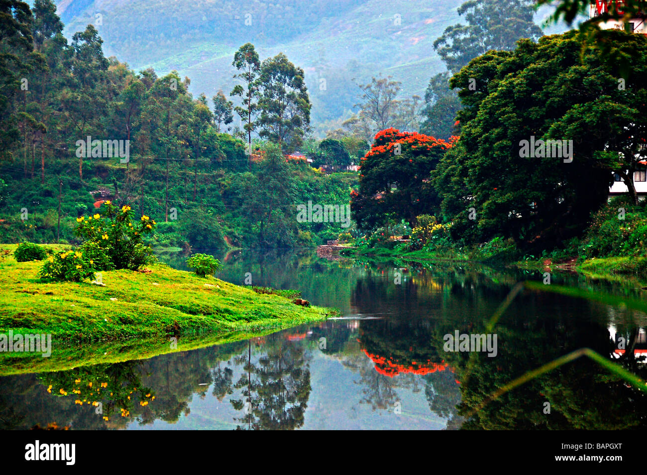 Munnar hi-res stock photography and images - Alamy
