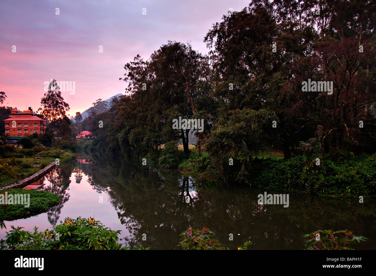 Kerala munnar hi-res stock photography and images - Alamy