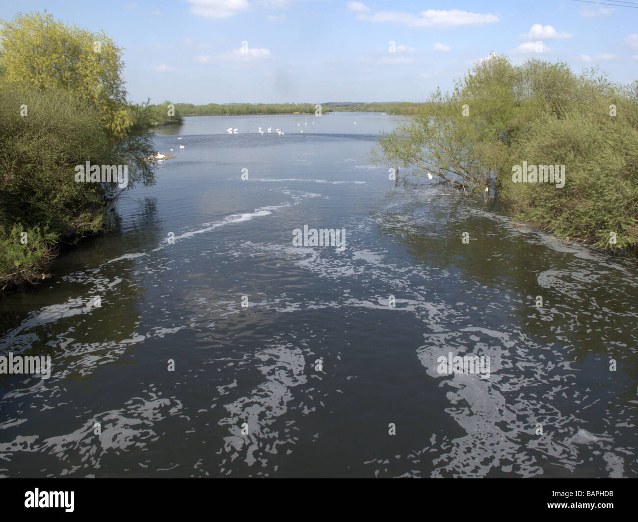 Coton pools Midlands Stock Photo - Alamy