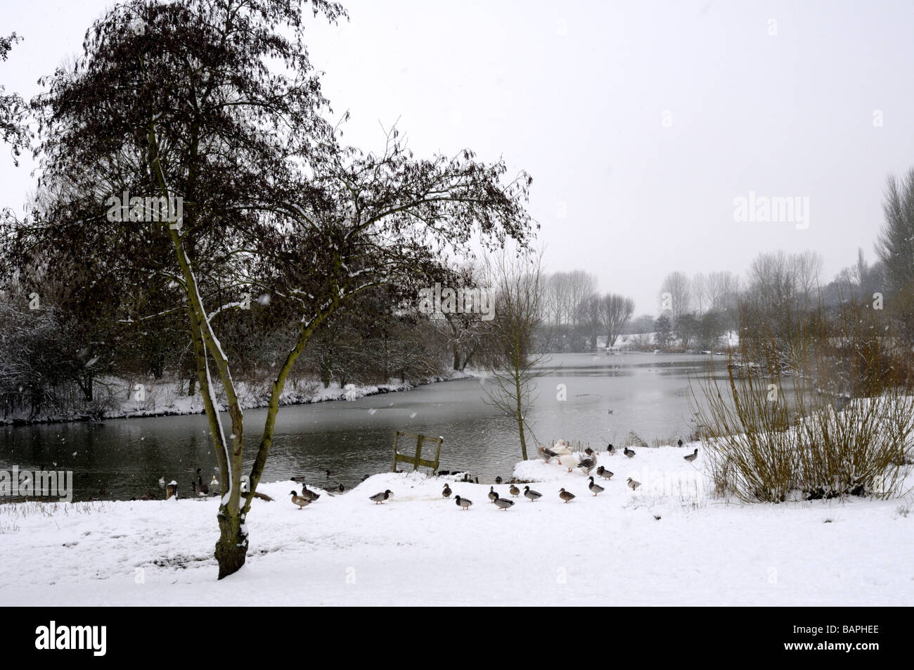 Winter Snow Scene in England Stock Photo - Alamy