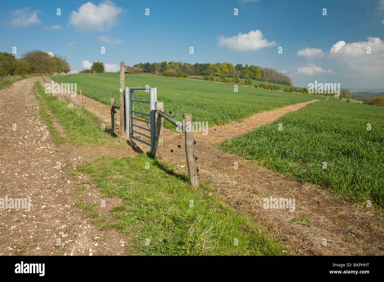 Berkshire borders hi-res stock photography and images - Alamy
