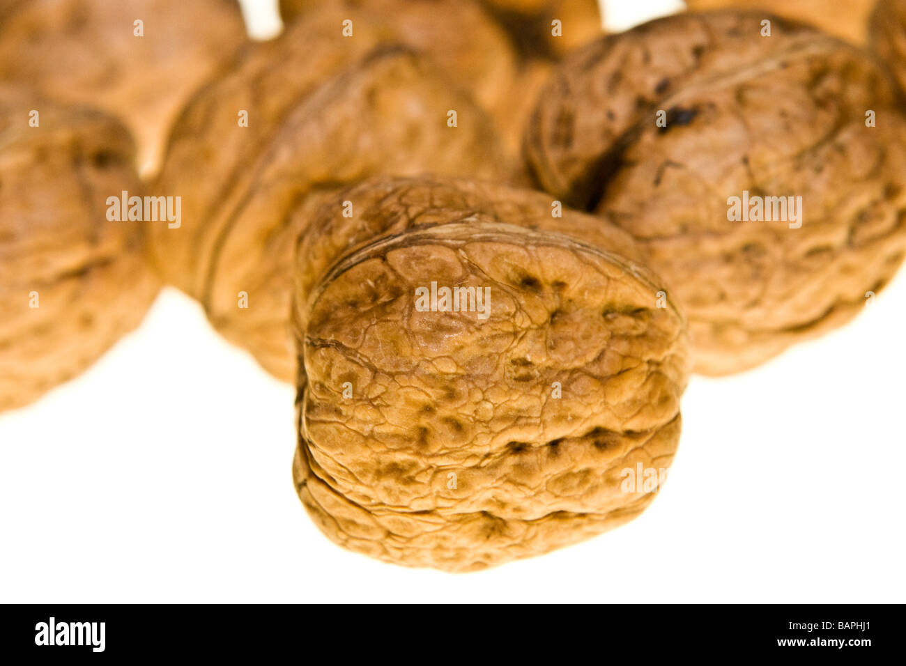 fruit walnut walnuts Stock Photo - Alamy
