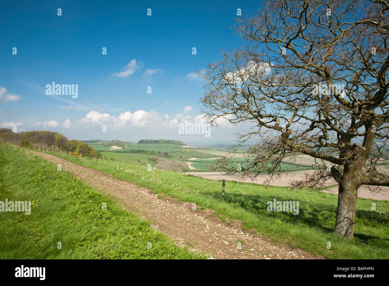View from the Wayfarers Way path over West Berkshire from between the ...