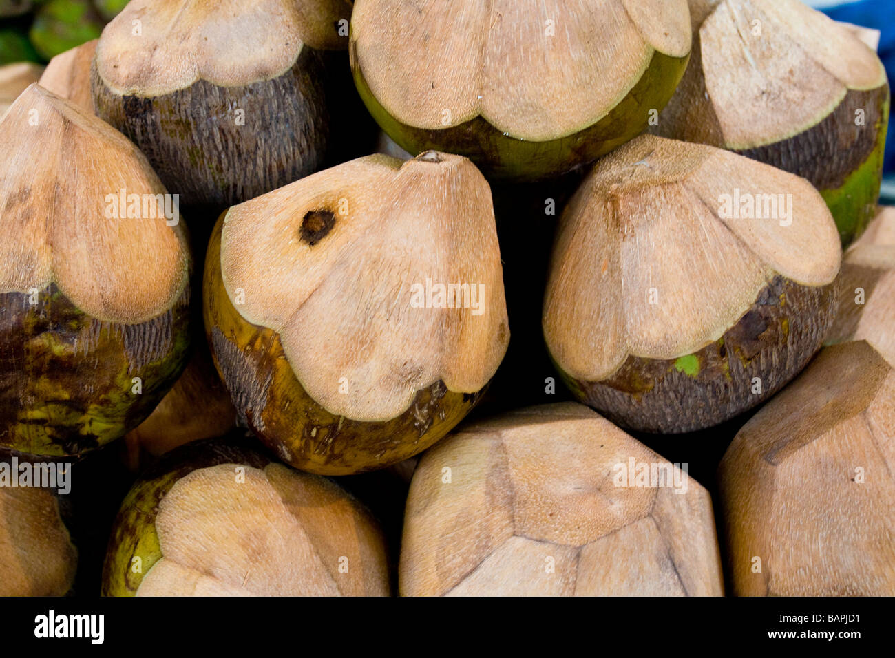 fruit coconut coconuts Stock Photo - Alamy