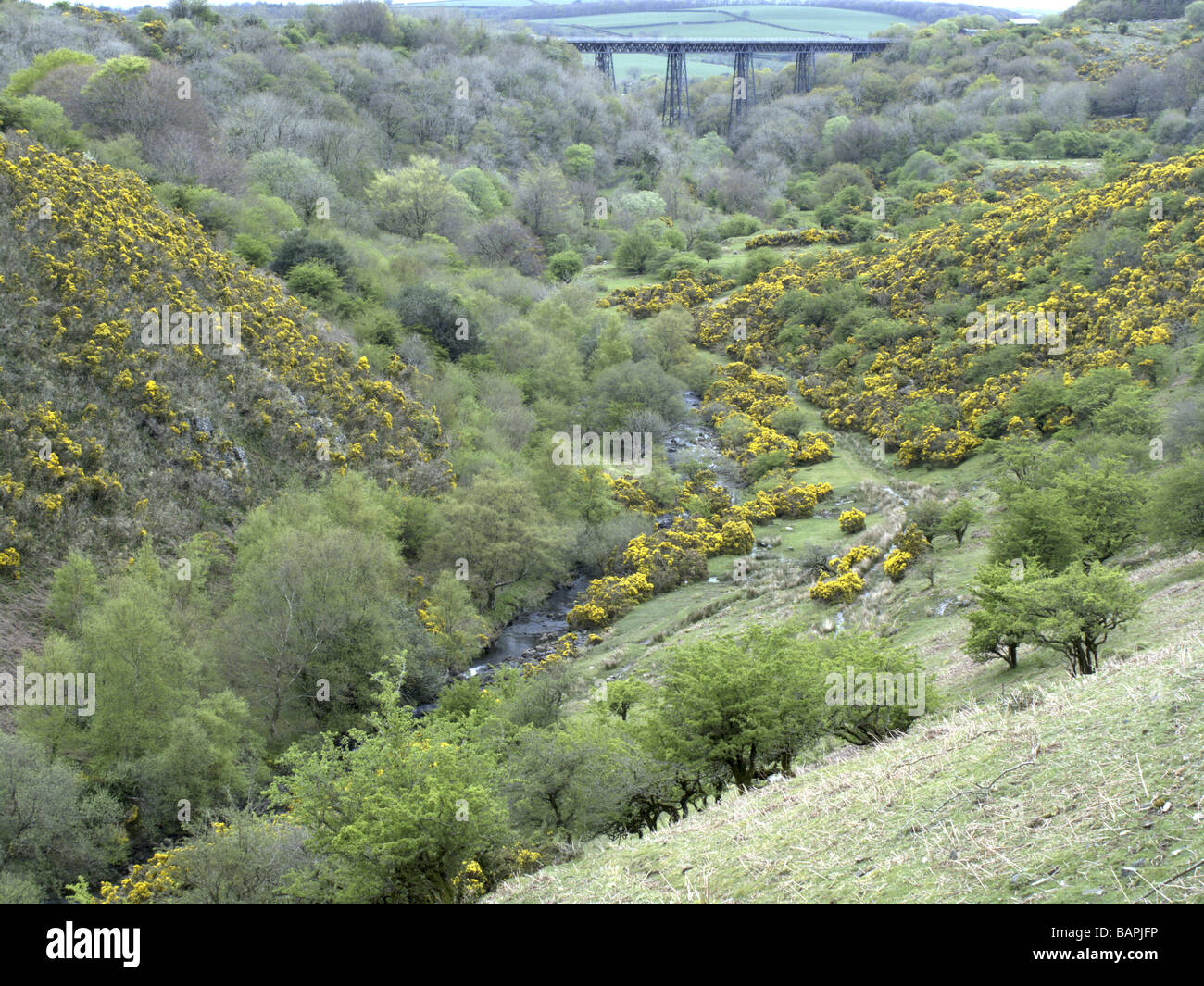 Meldon viaduct near Meldon Dartmoor Devon Stock Photo - Alamy