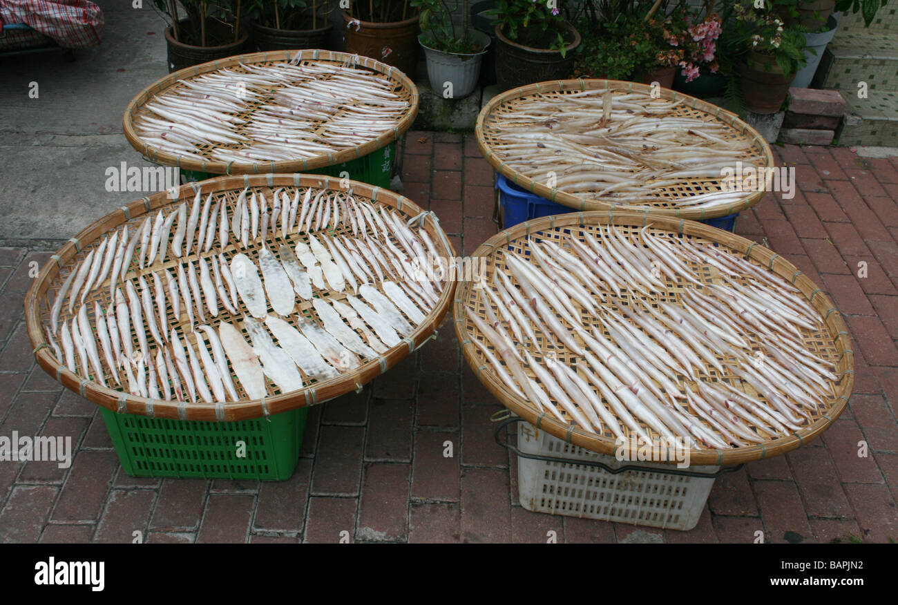fish drying in the sun Cheung Chau Hong Kong April 2008 Stock Photo - Alamy