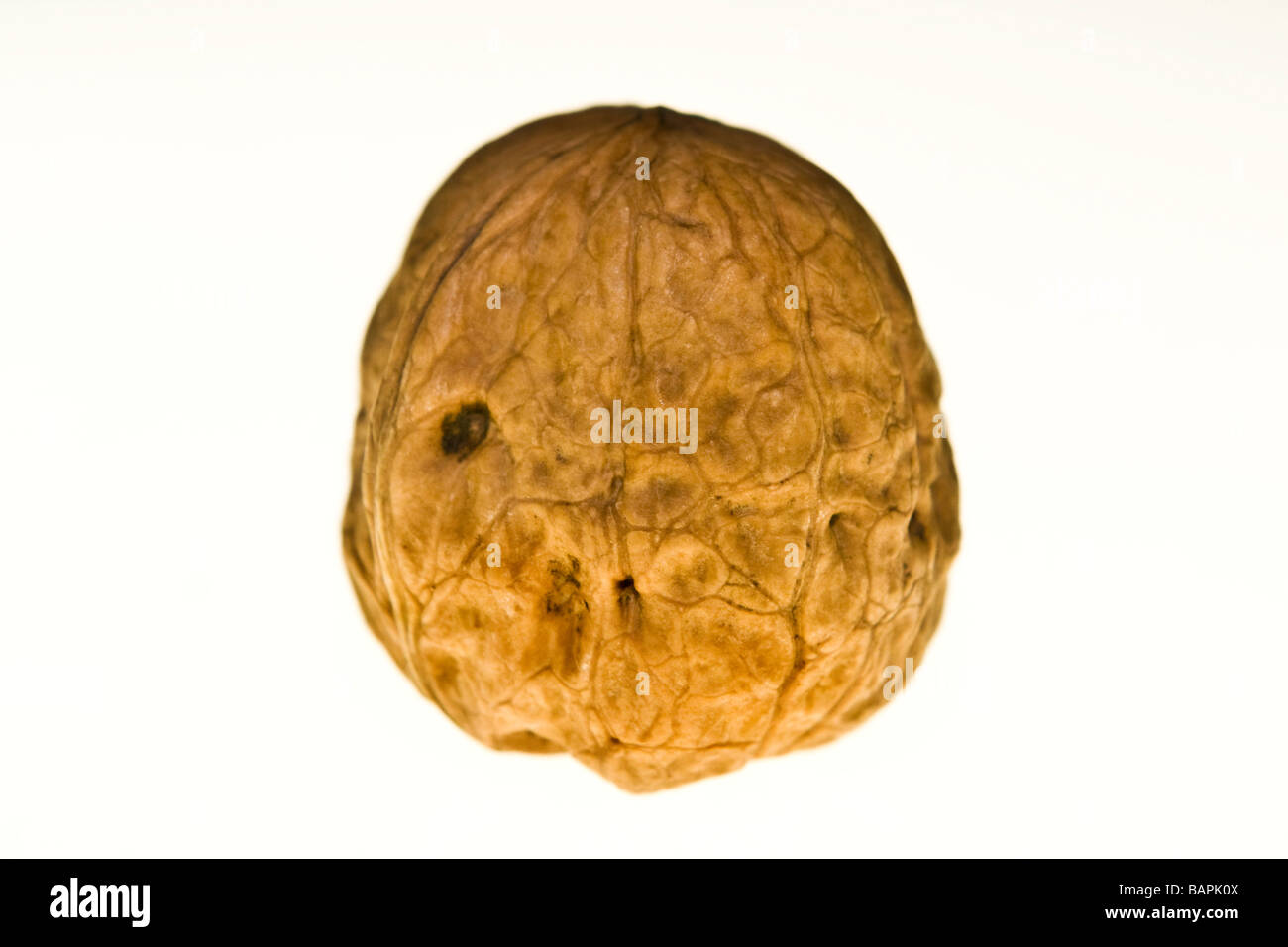 fruit walnut walnuts Stock Photo - Alamy
