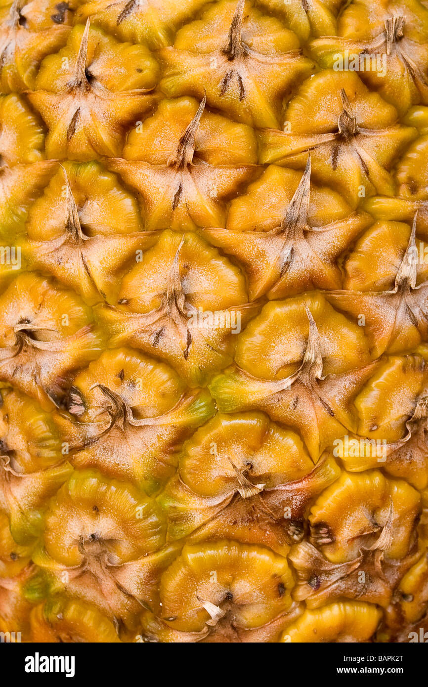 Pineapple stalk hi-res stock photography and images - Alamy