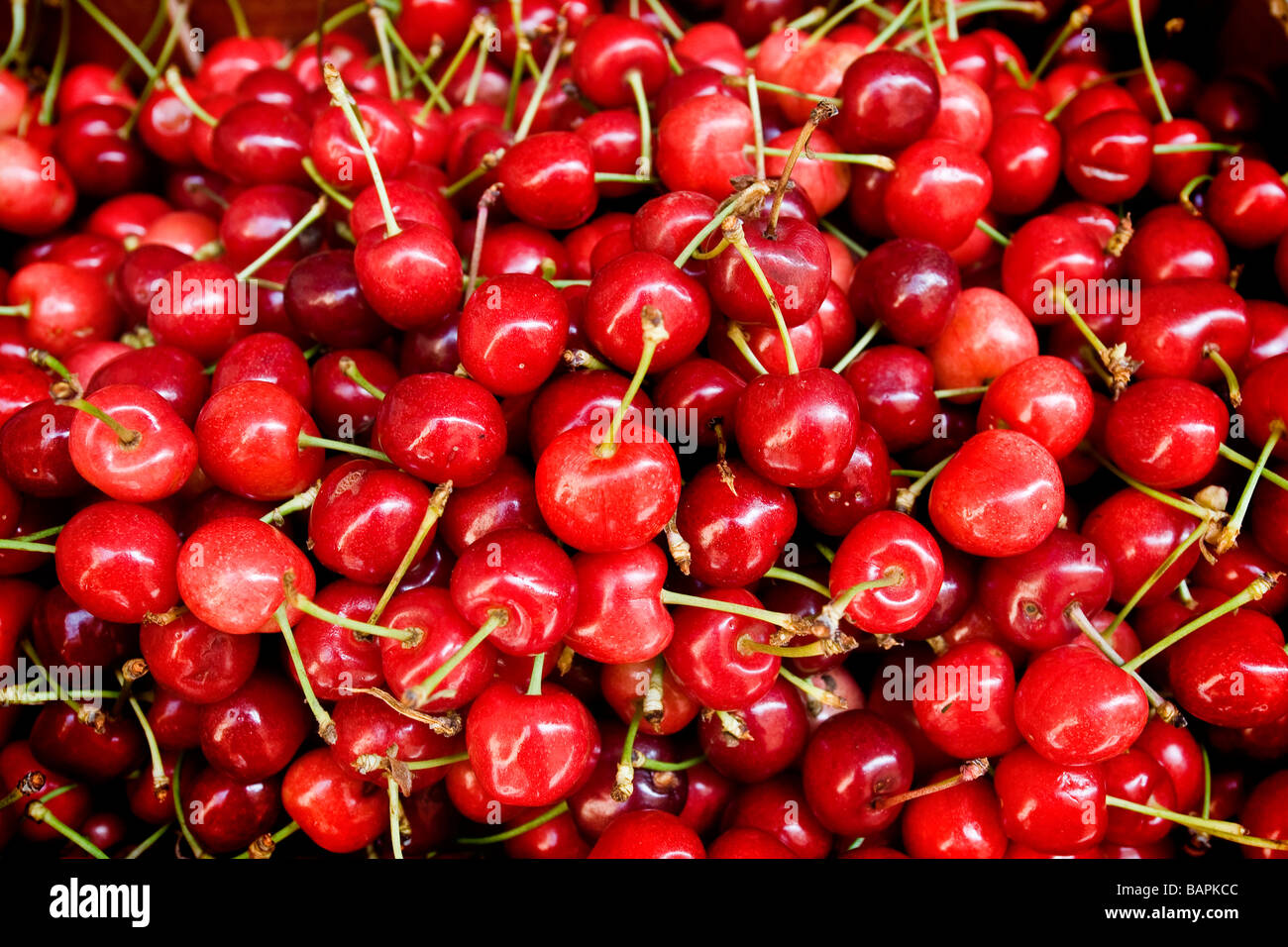 fruit cherry cherries Stock Photo - Alamy