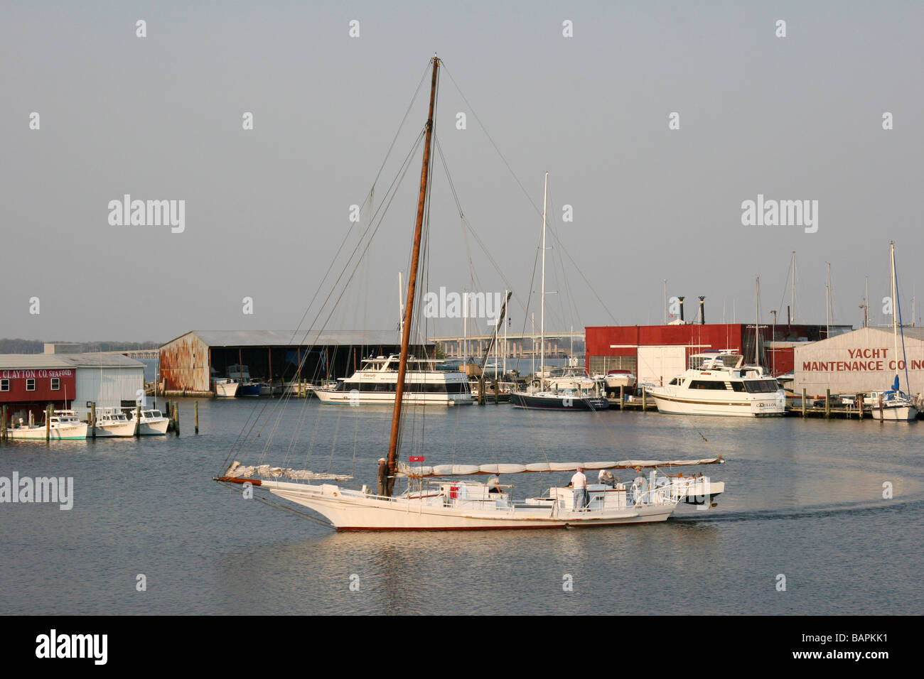 Skipjack Nathan of Dorchester Stock Photo - Alamy