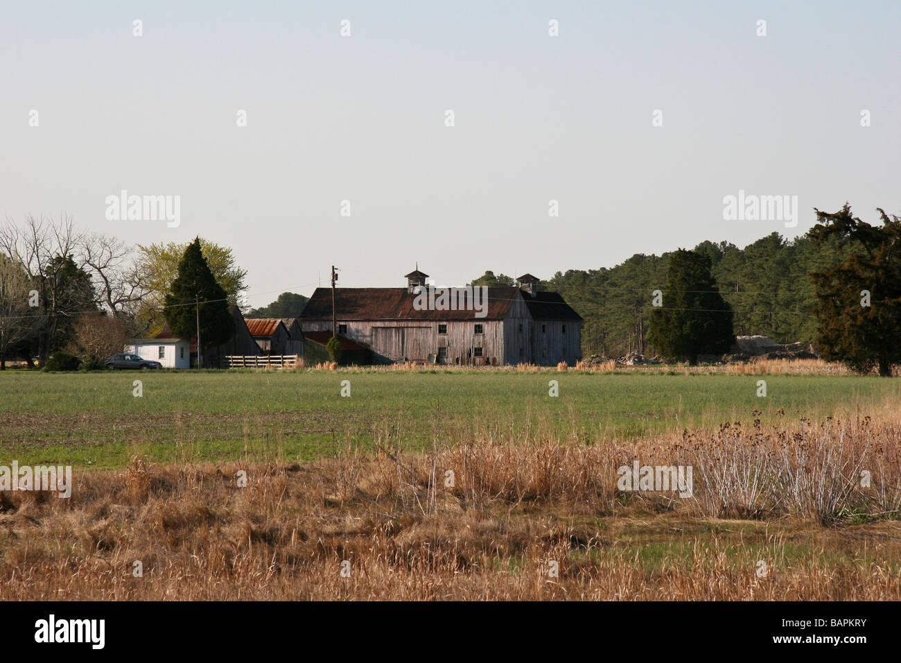 Chesapeake farm hi-res stock photography and images - Alamy