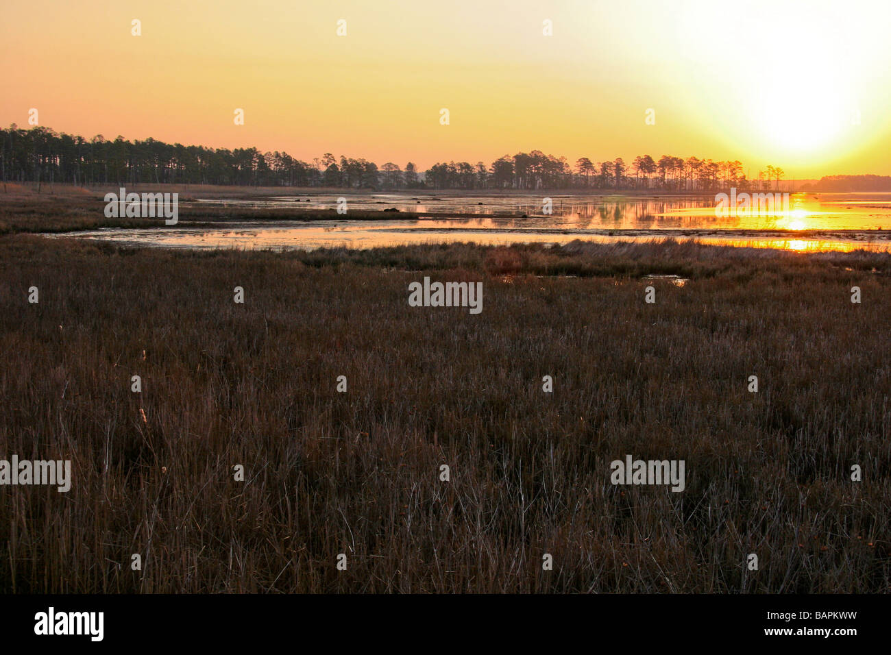 Blackwater area hi-res stock photography and images - Alamy