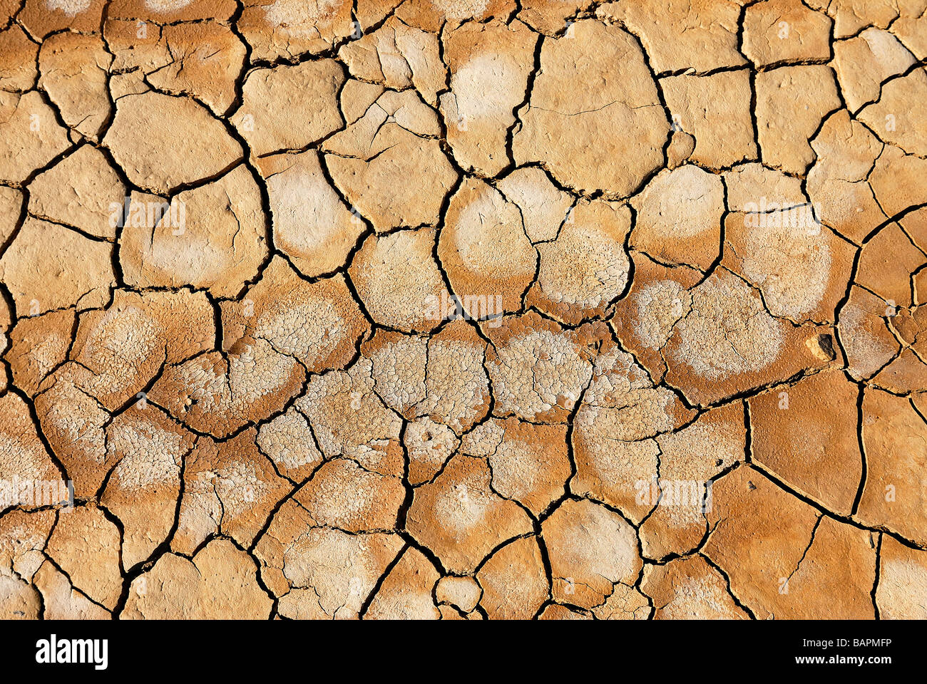 Desert dryness hi-res stock photography and images - Alamy